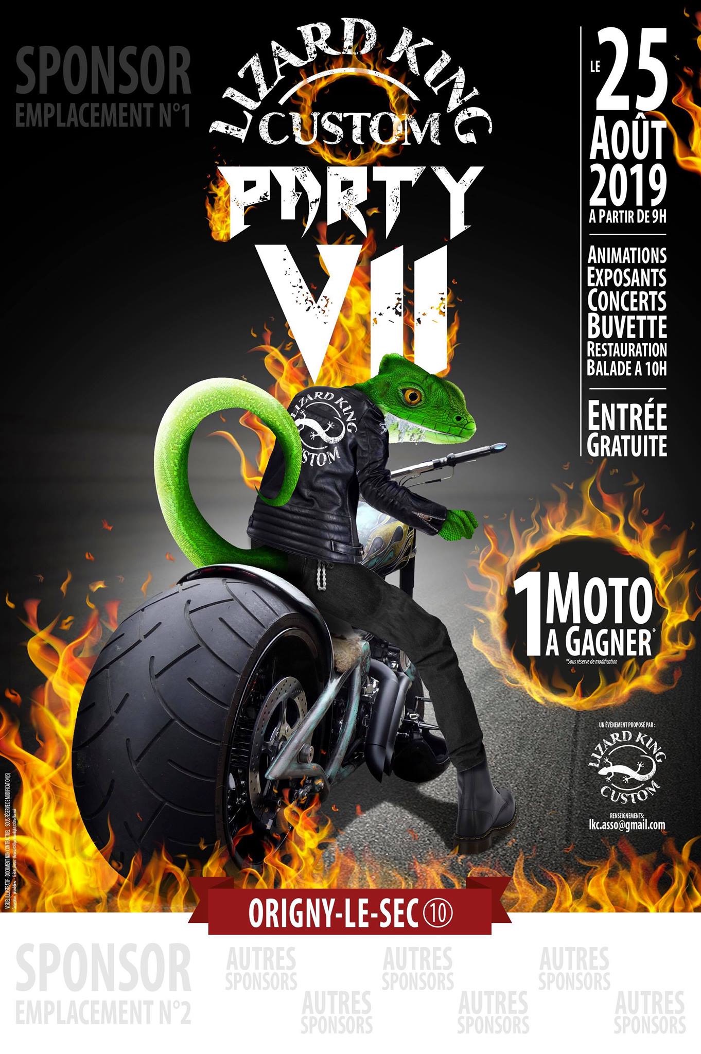 Lizard King Custom Party 7 | TripnBike